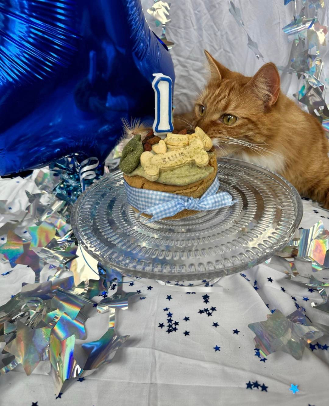 Cat Birthday Cake Birthday Cake for Cats - Etsy