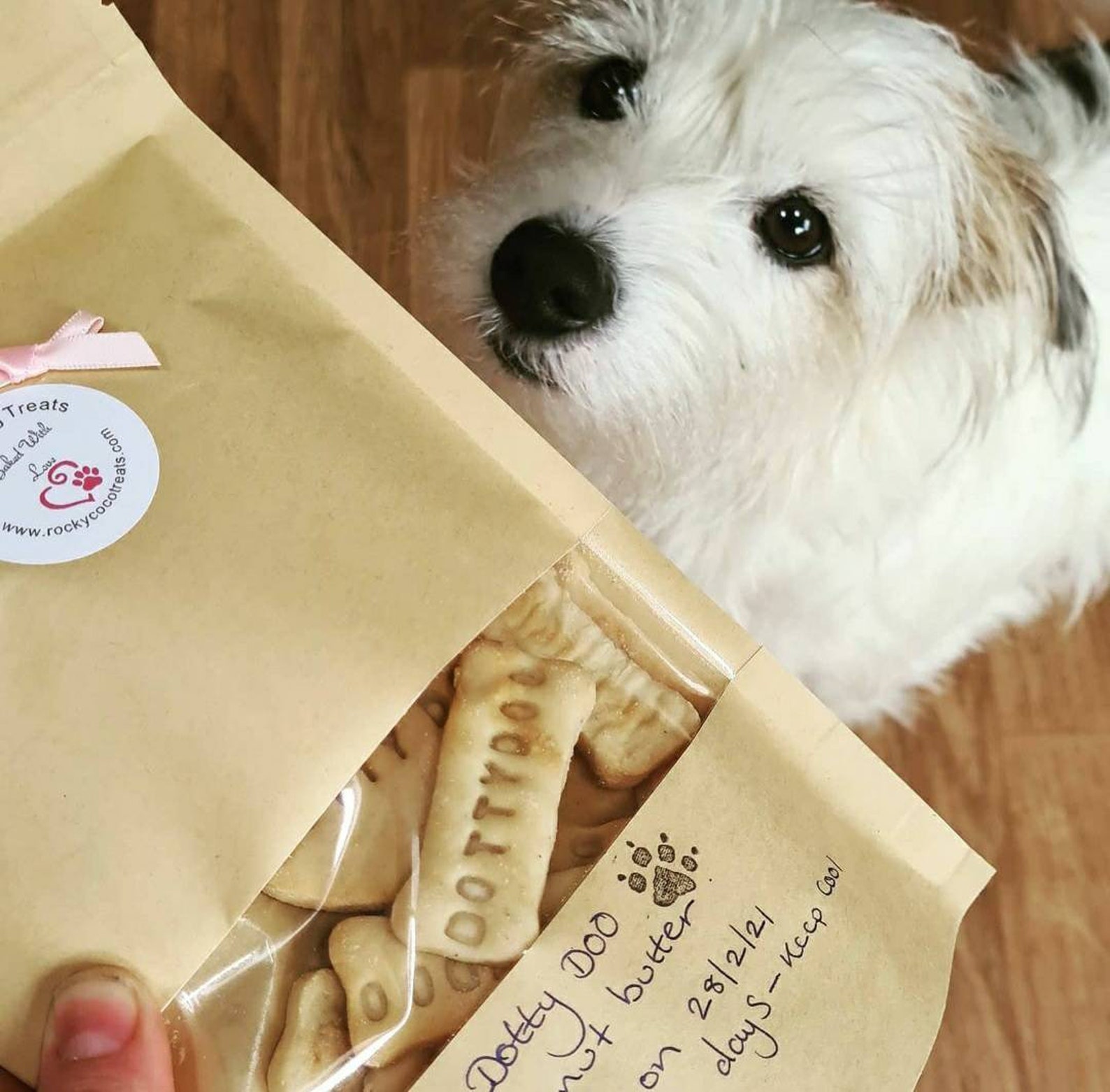 Personalised Dog Biscuit Dog Biscuits Dog Birthday Biscuits - Etsy UK