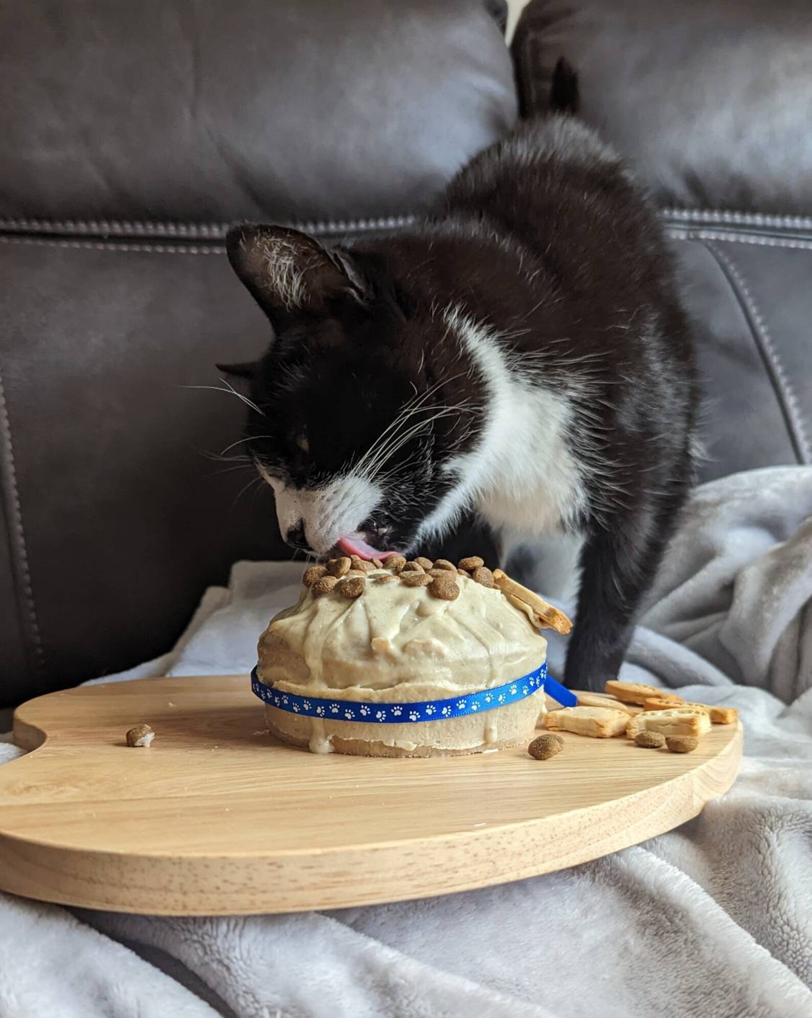 Cat Birthday Cake Birthday Cake for Cats - Etsy