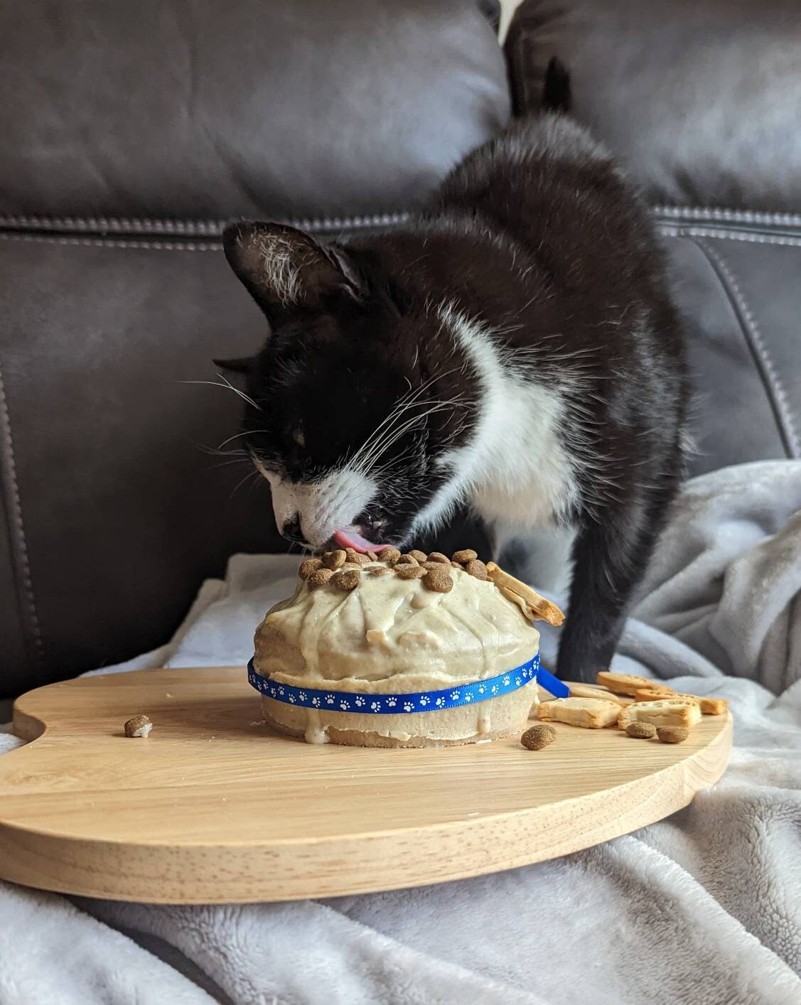 Cat Birthday Cake Birthday Cake for Cats - Etsy UK