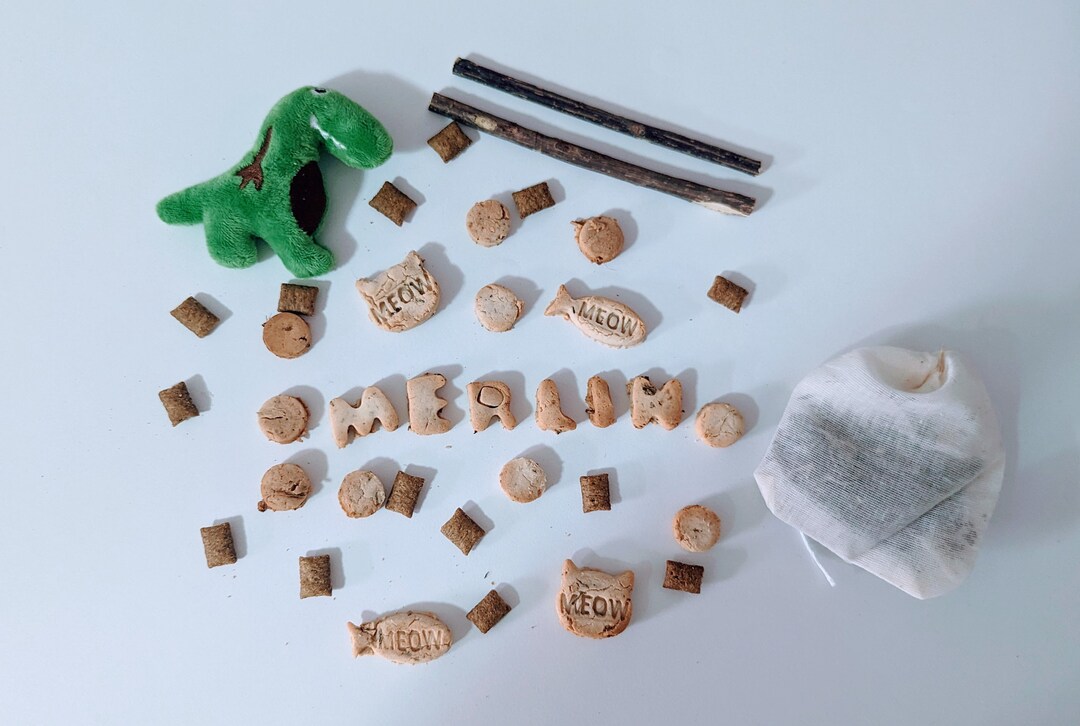Cat Name Biscuit Box Cat Birthday Cake - Etsy