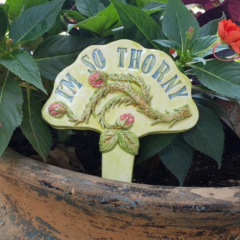 Pun Flower Pots - Etsy