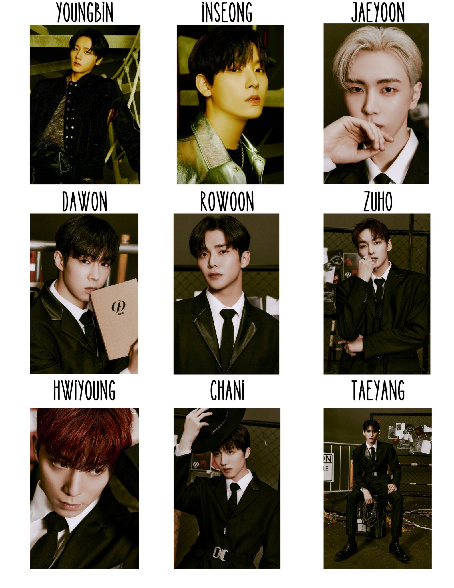 SF9 Fan Made FANTASY Membership ID Cards Laminated & Durable - Etsy
