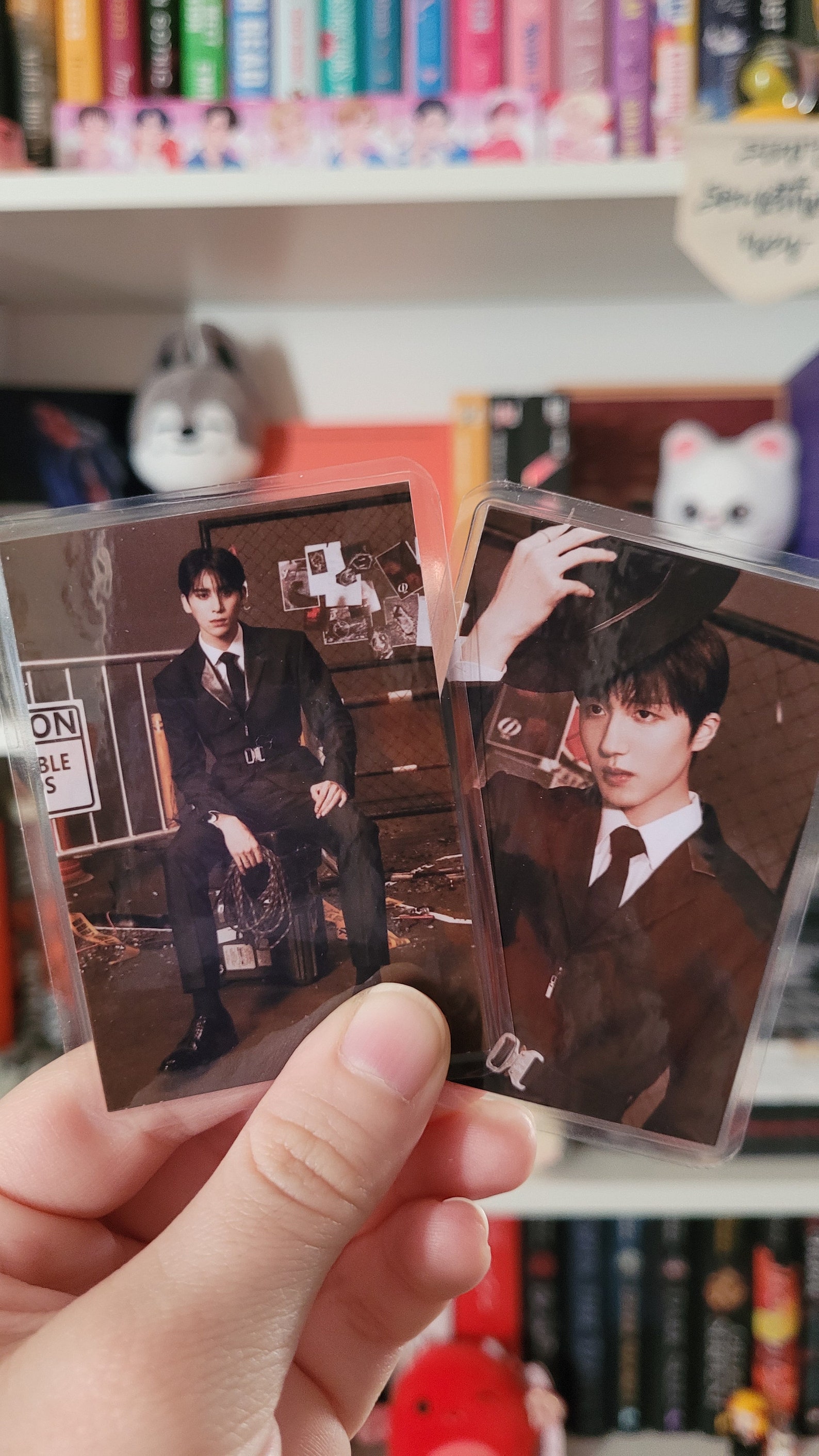SF9 Fan Made FANTASY Membership ID Cards Laminated & Durable | Mystery ...