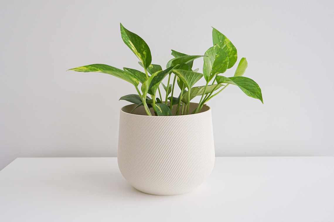 White Plant Pot White Planter Indoor Planter Indoor - Etsy