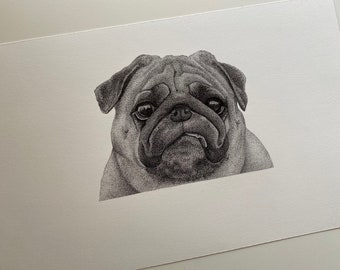 Pug Ink Drawing - Etsy