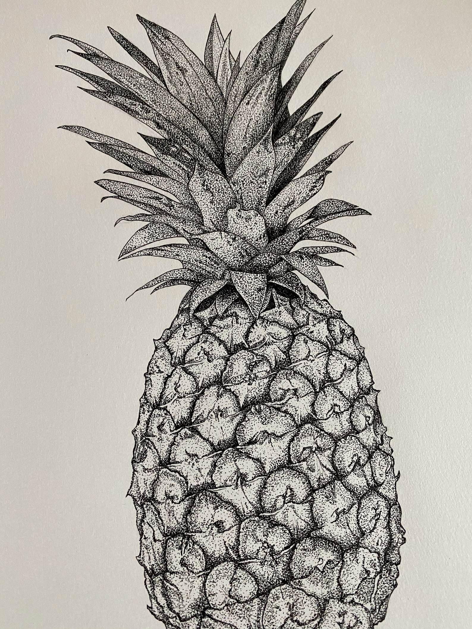 Pineapple: Original Pen and and Ink Drawing // 11x14 Drawing - Etsy