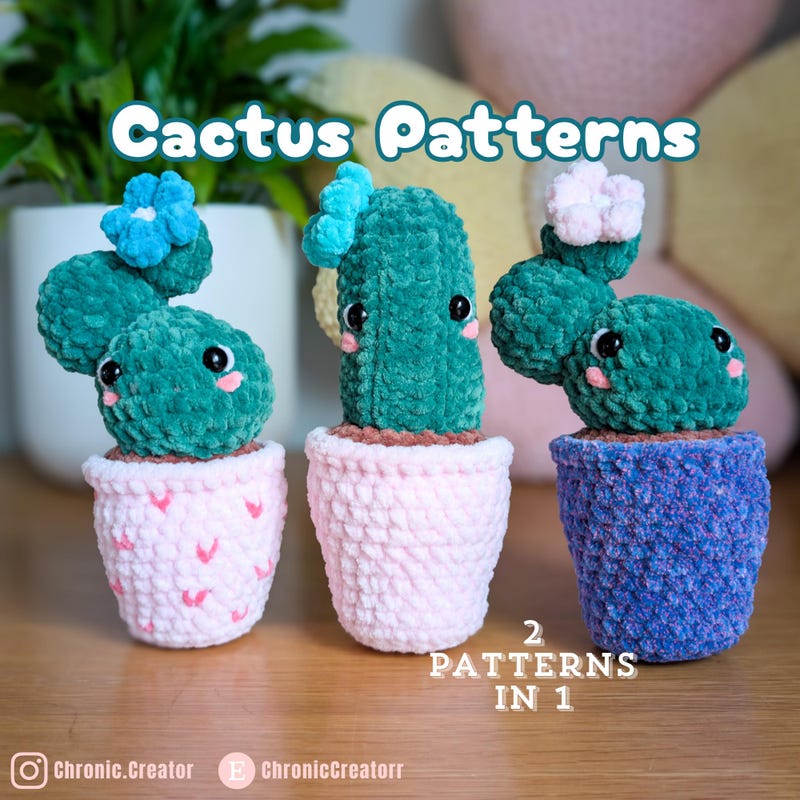 Cactus 2in Plant - Etsy UK