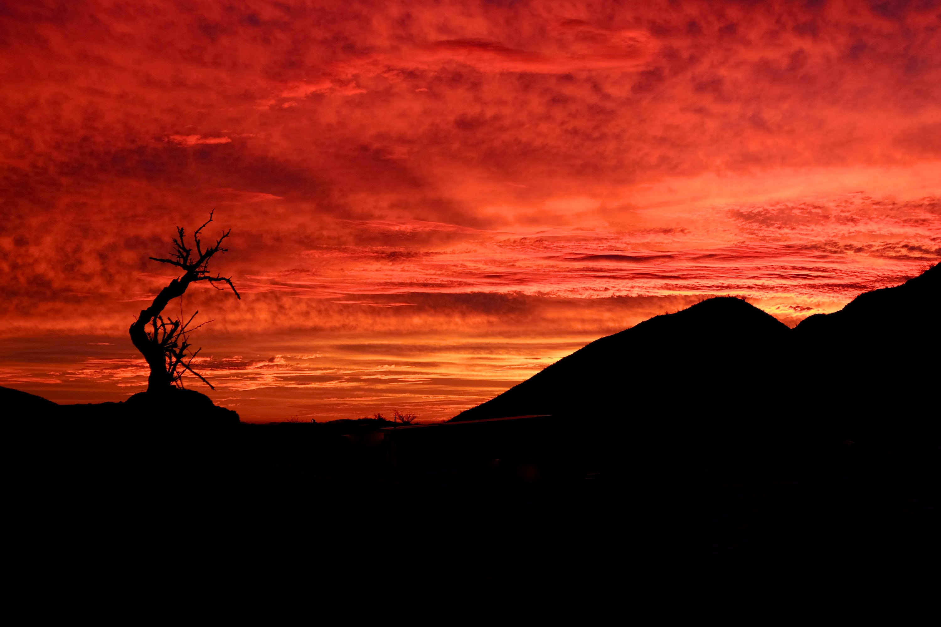 Metal Wall Art Photo Print, Desert Sunrise New Year's Eve in Anza ...