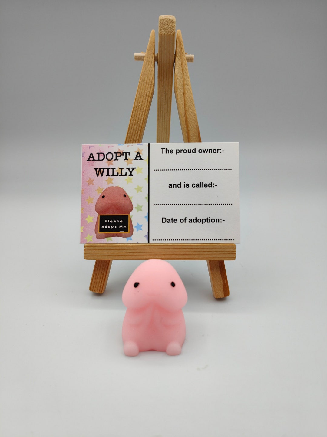 Adopt A Willy, Stress Relief Toy, Pink Peckers, Novelty, Fun, Secret ...