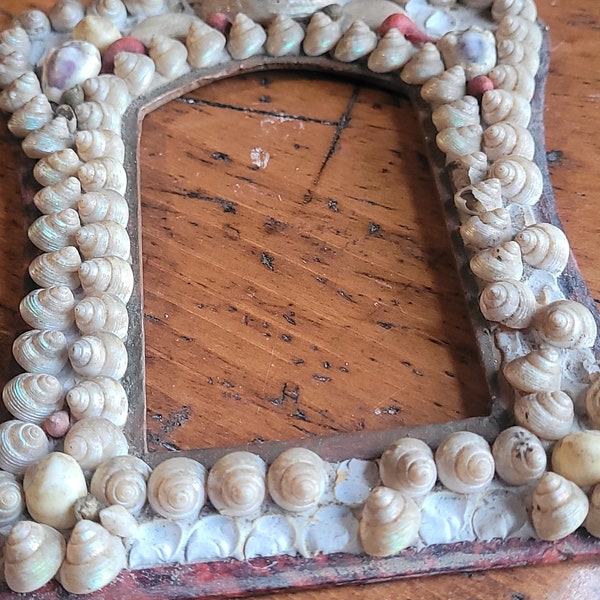 Shell Frame - Etsy