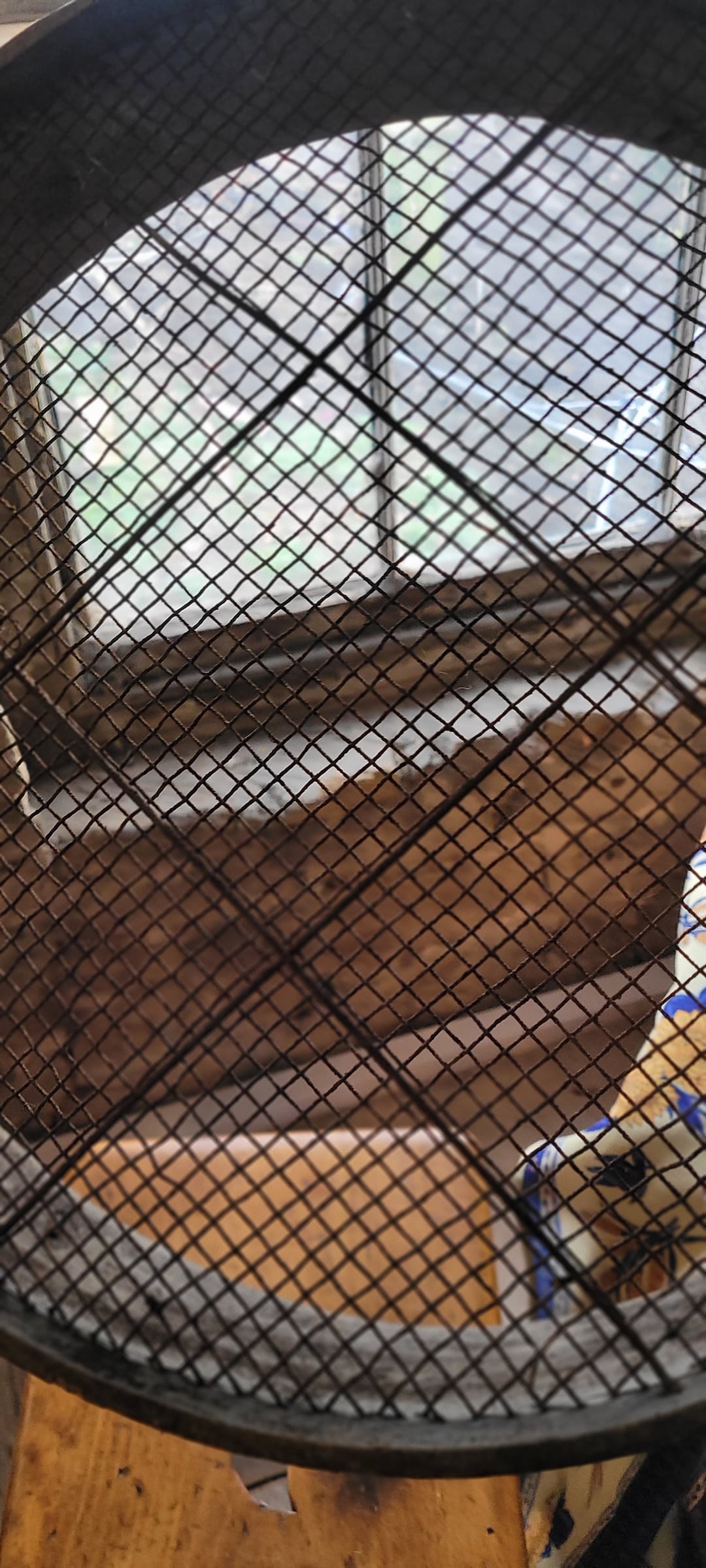 Vintage Riddle, Garden Riddle, Soil Sieve - Etsy