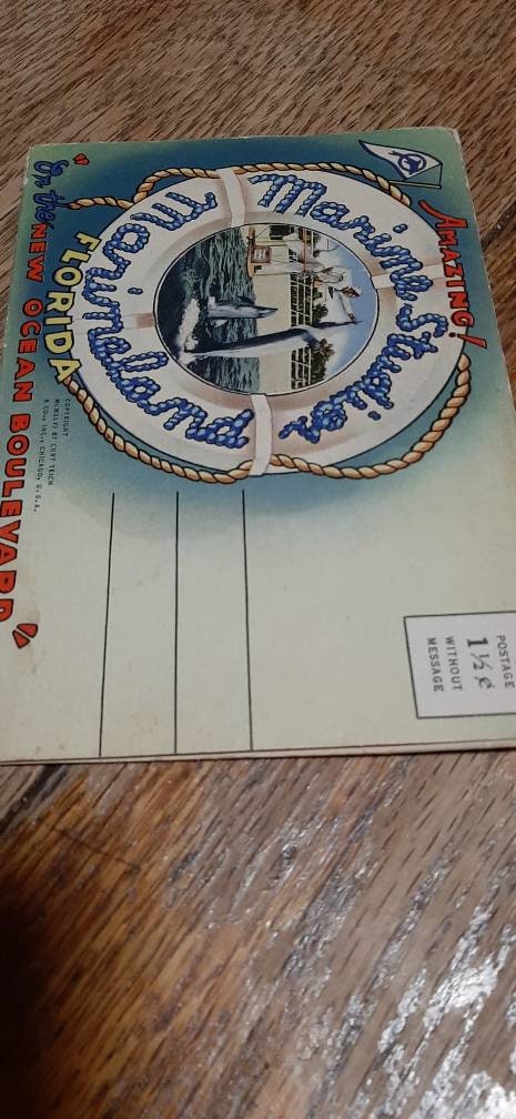 Vintage Florida Fold Out Postcard Retro Postcard USA - Etsy Singapore