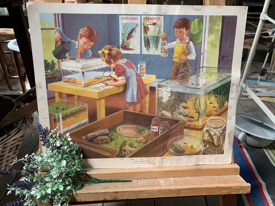 Vintage School Picture, Retro Poster, Vintage Poster, School Poster ...