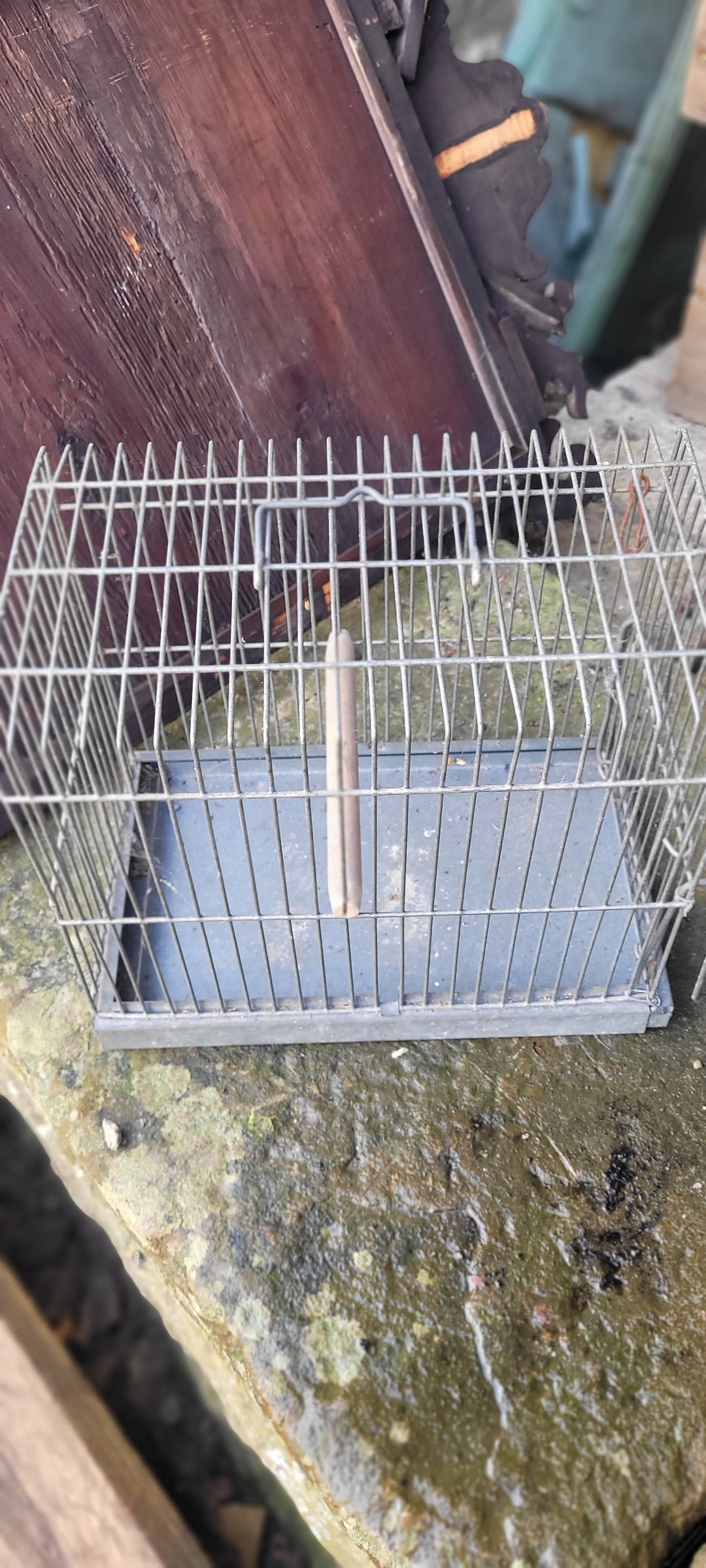 Bird Cage, Small Bird Cage, Metal Cage - Etsy