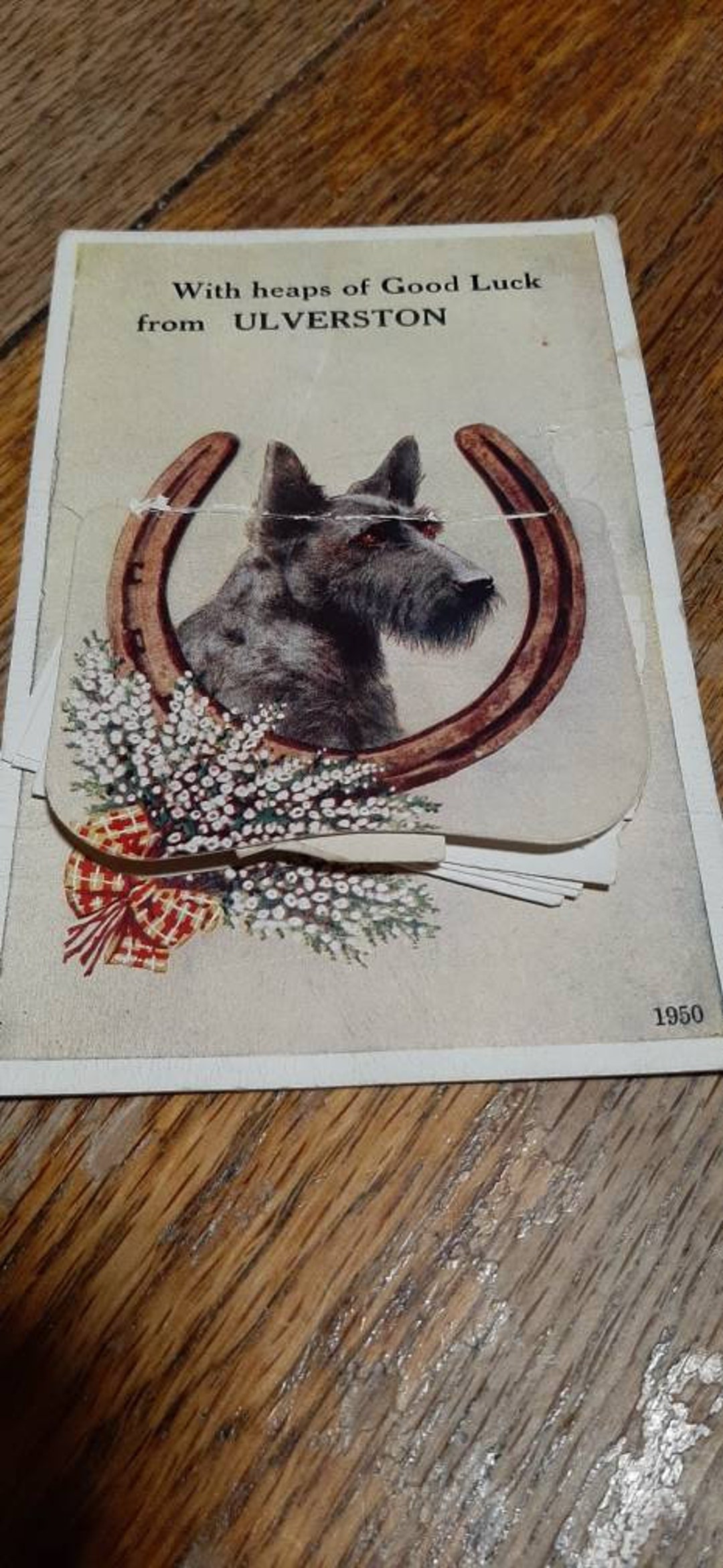 Vintage Postcard, Dog Postcard, Card - Etsy