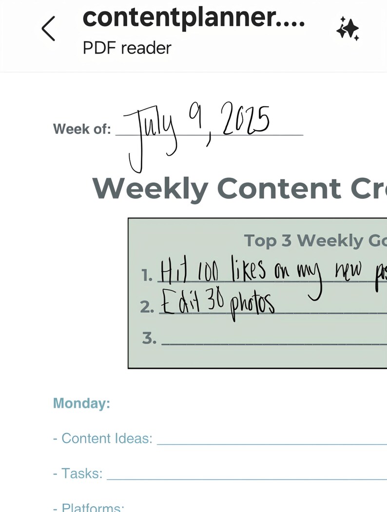 Weekly Content Creator Planner — Instant PDF Download, Fully ...