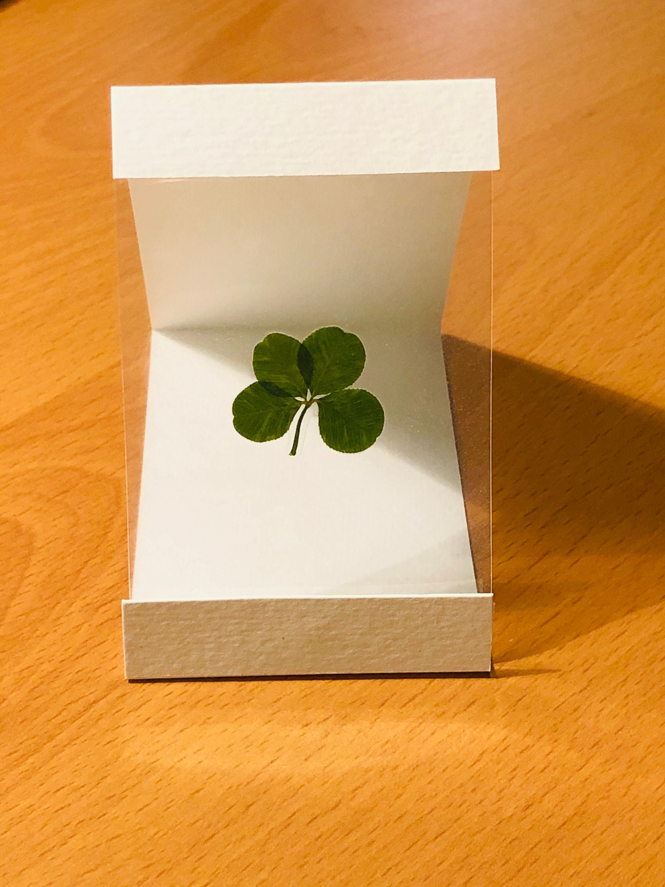 Real 4 Leaf Clover Pop-out Greeting Card Fathers Day - Etsy