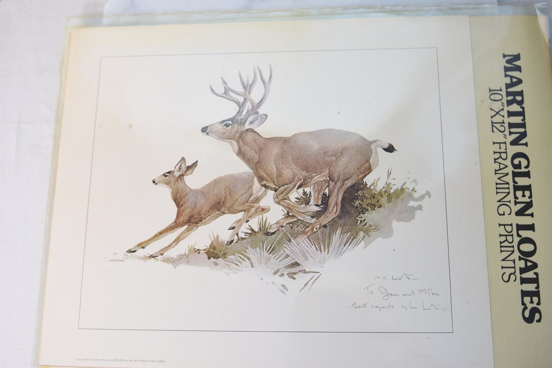 Glen Loates Print, 10" X 12", Mule Deer, Signed by Artist - Etsy
