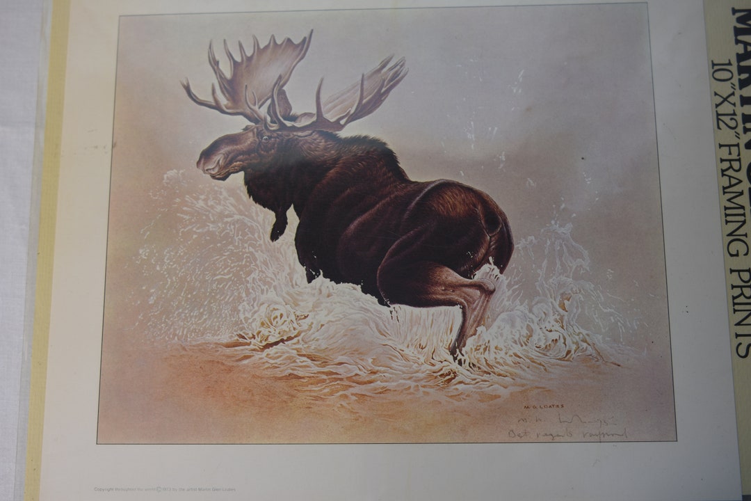 Glen Loates Print, 10 X 12, Moose, Signed by Artist - Etsy
