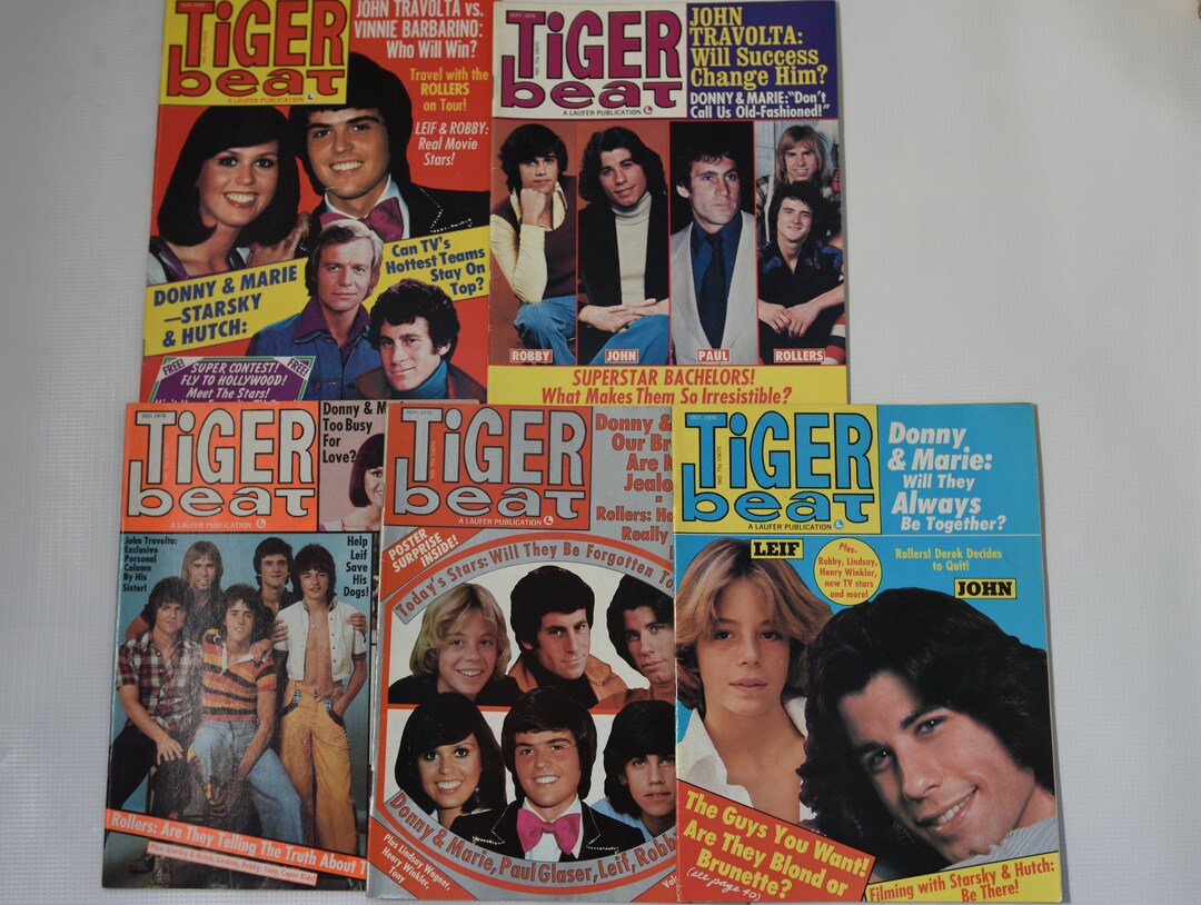 Tiger Beat Magazines, 1976 - Etsy