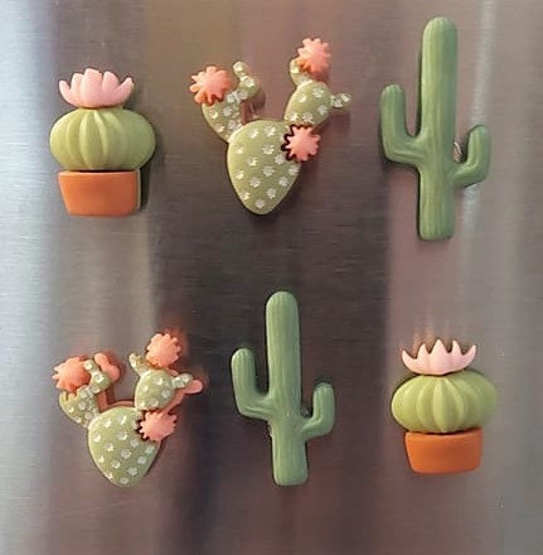 Cactus Magnet 6 Piece Set, Cactus Flower Magnet, Locker Magnets, Busy ...