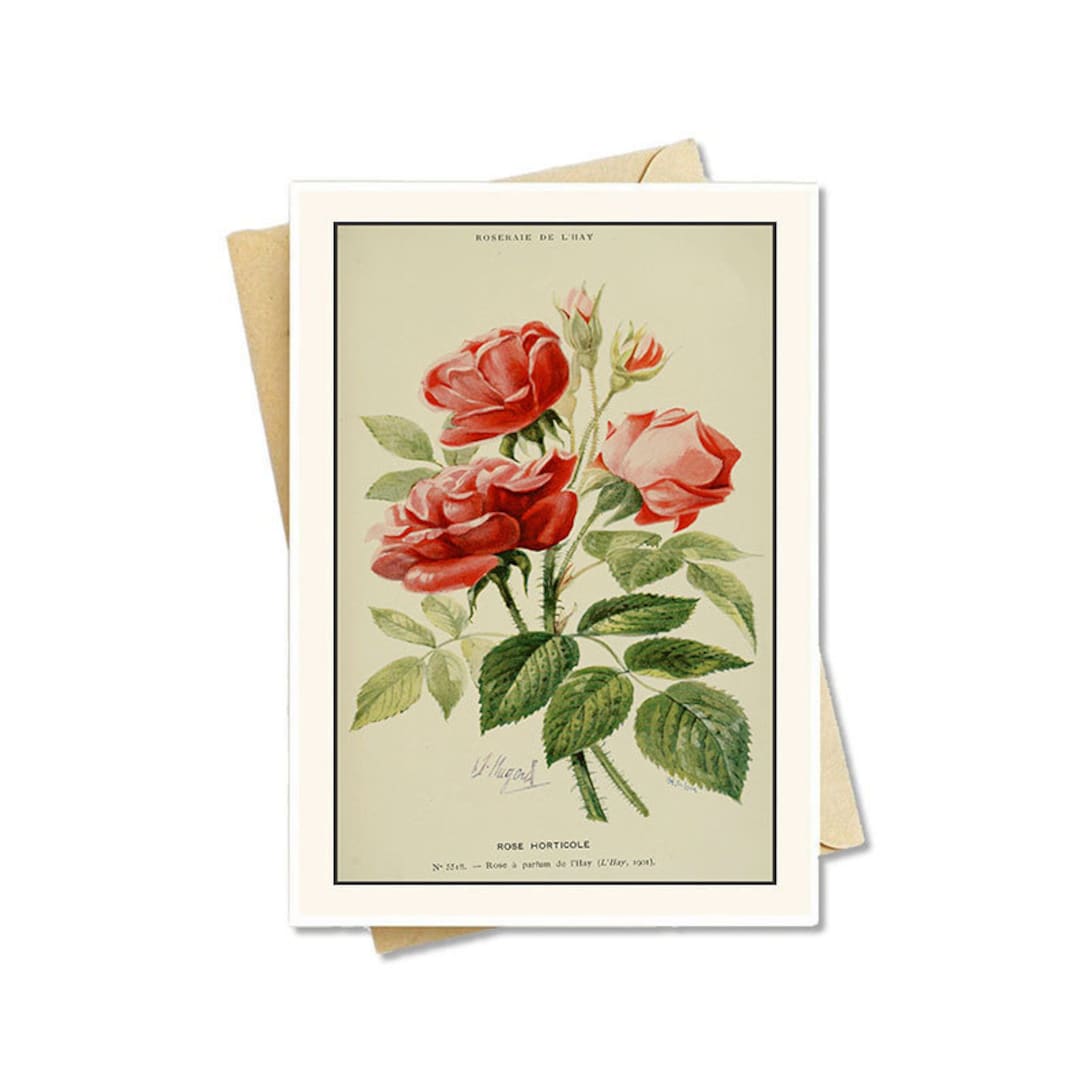 Vintage Note Cards 1850s Botanical Art Set of 8, 12 or 25 - Etsy