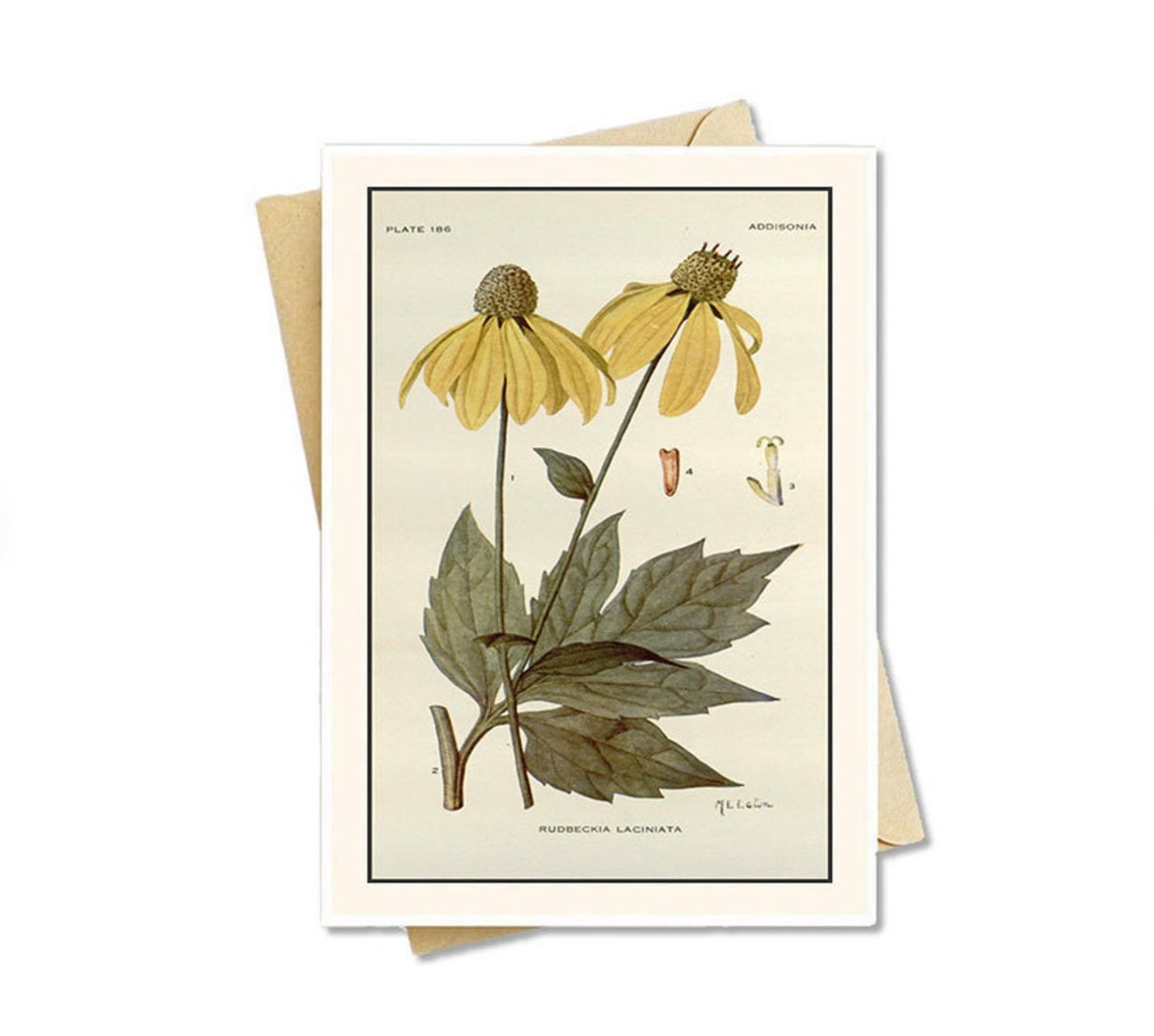 4 sets of VINTAGE NOTE CARDS 4 sets of 8 blank cards w/ | Etsy