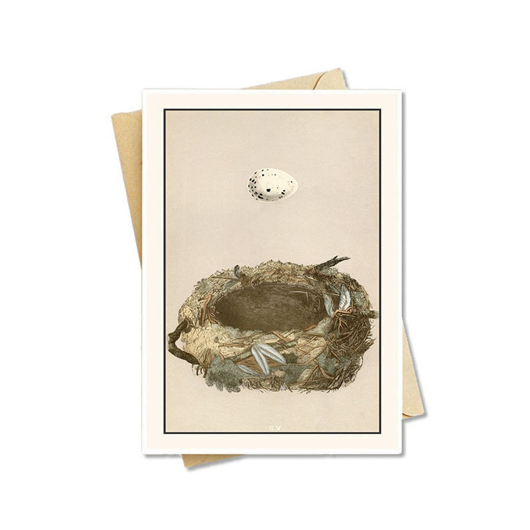 Vintage Note Cards 1850s Botanical Art Set of 8, 12 or 25 - Etsy