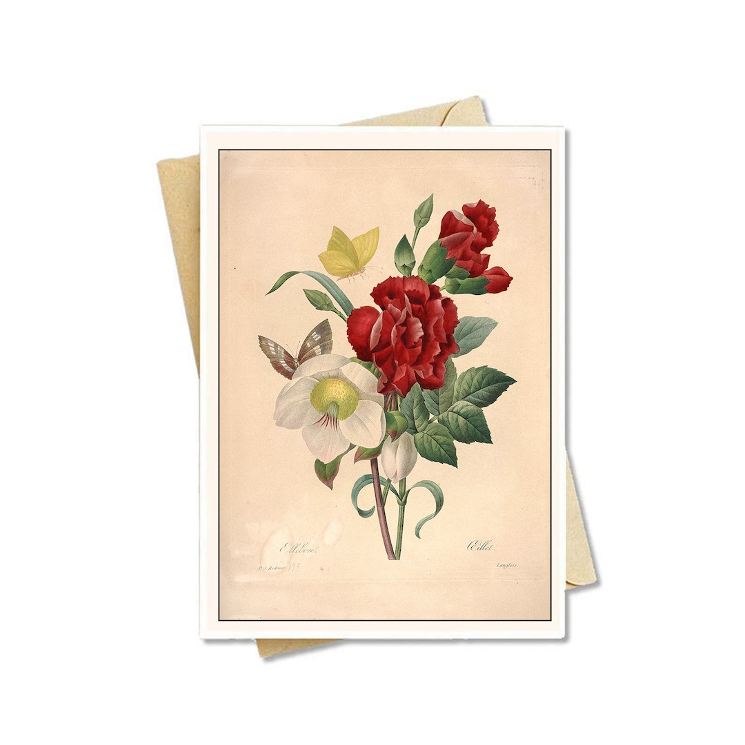 Vintage Note Cards 1850s Botanical Art Set of 8, 12 or 25 - Etsy