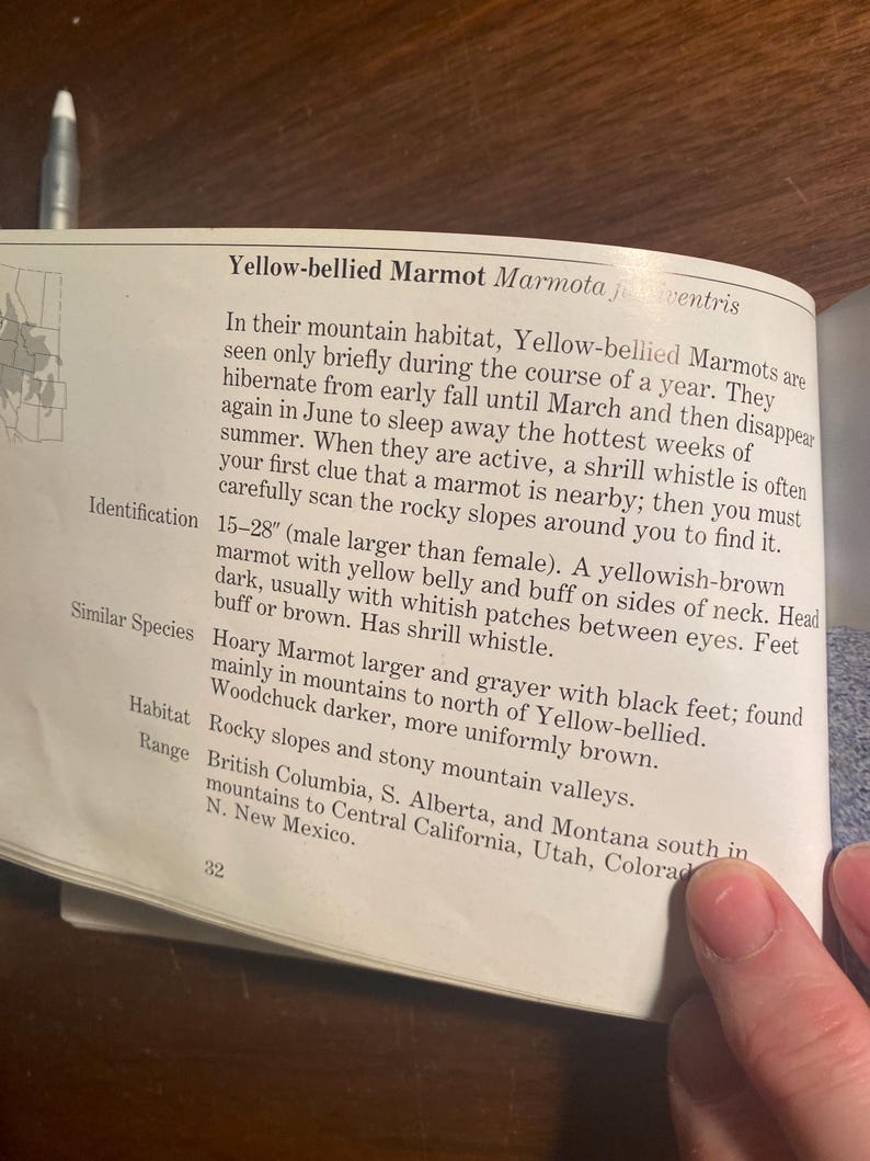 Guide to Familiar Mammals of North America - John Farrand, Jr 1992 ...