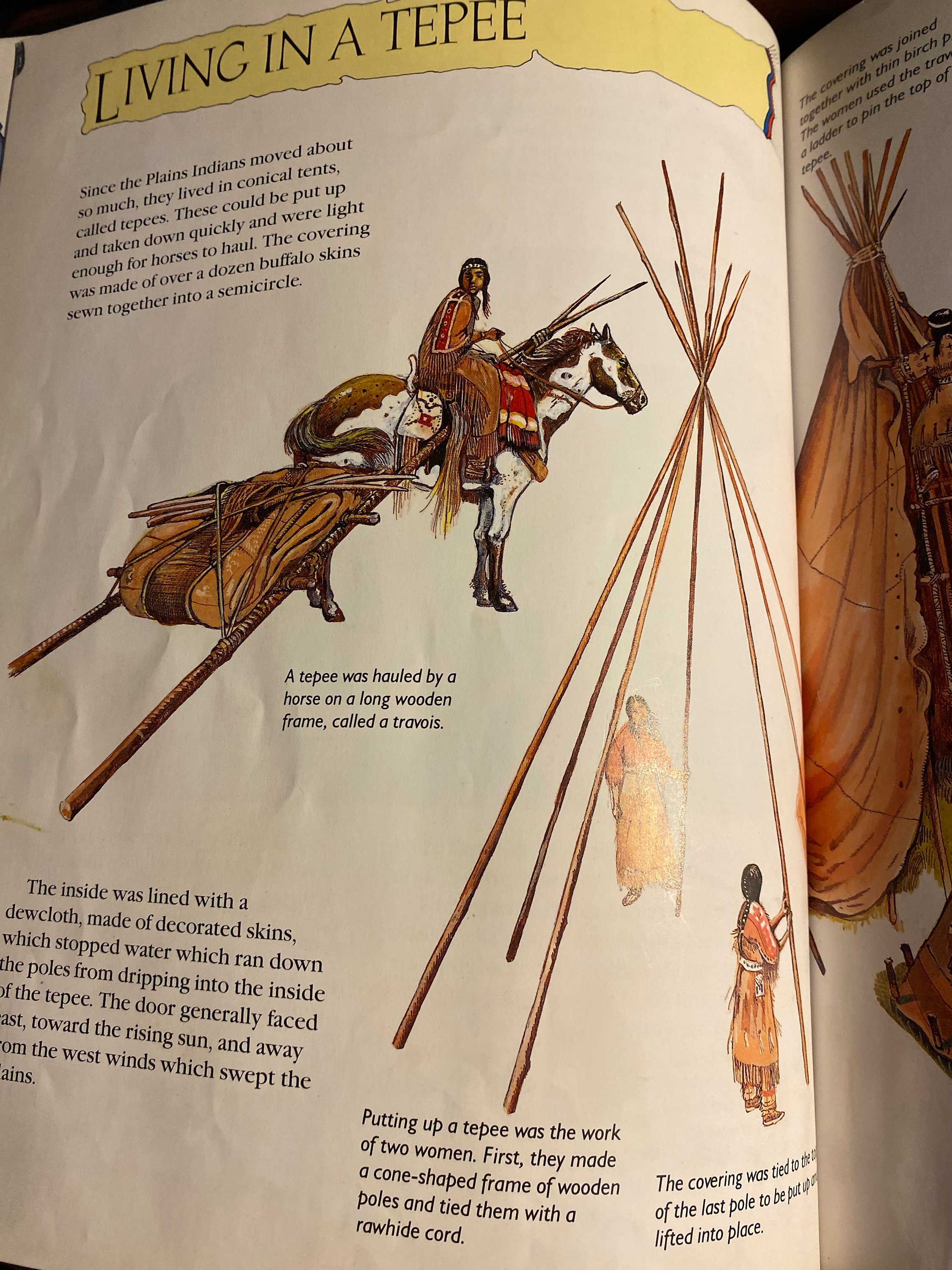 Indians of the Plains Facts Things to Make Activities - 1991 - Ruth ...