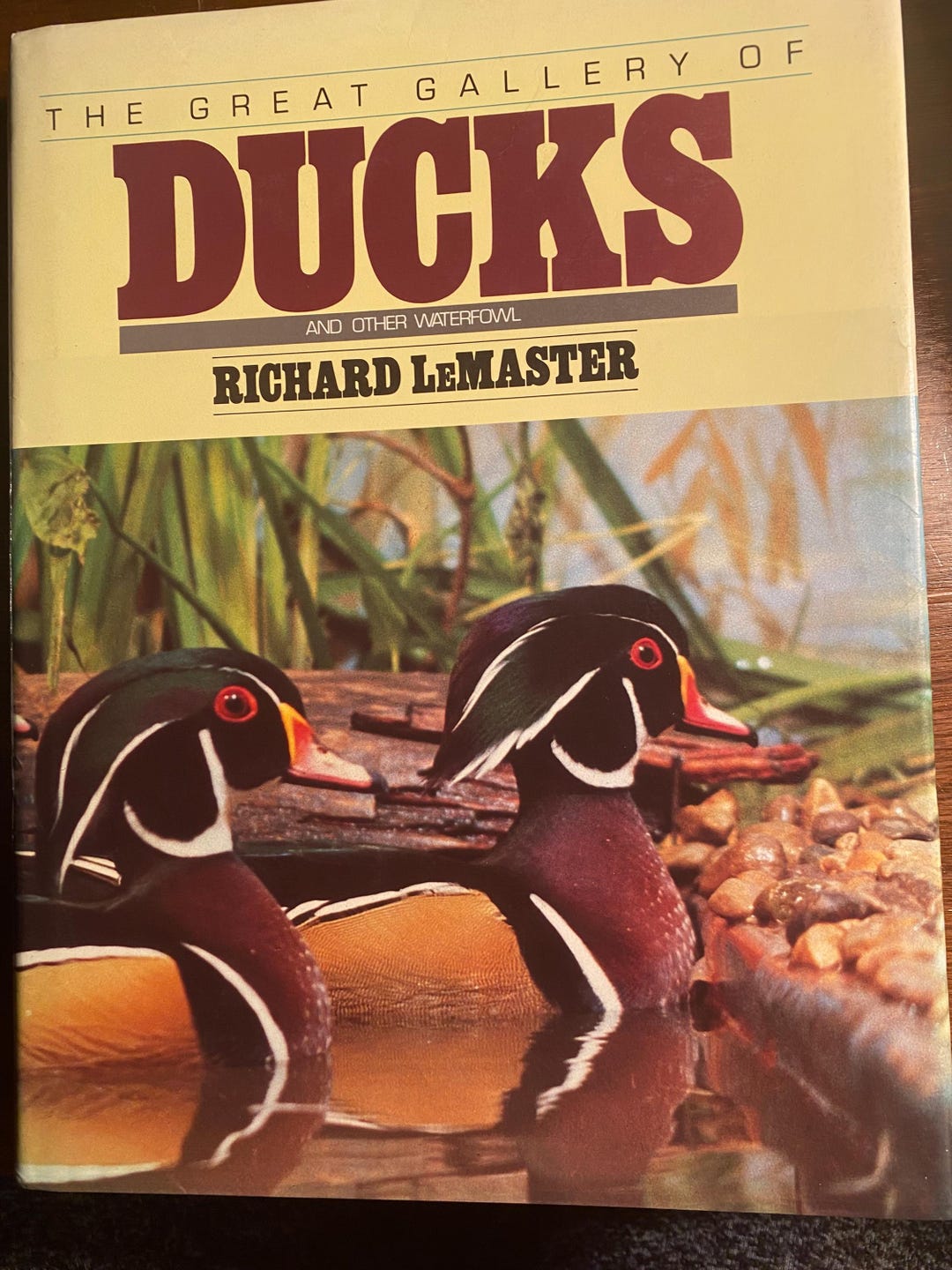 The Great Gallery of Ducks and Other Waterfowl - Identification Guide ...