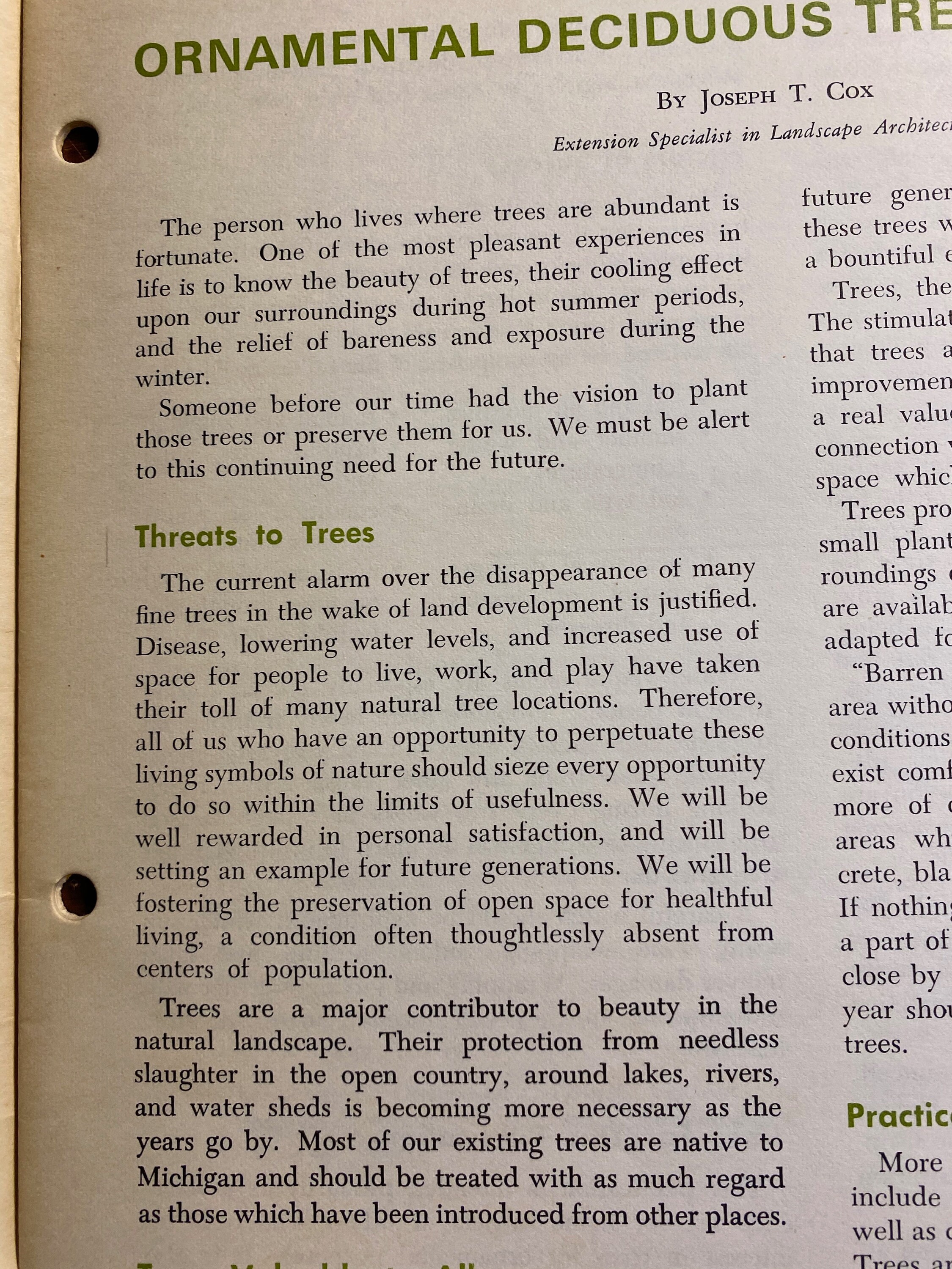 Ornamental Deciduous Trees for Michigan: Joseph Cox - Etsy