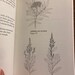 Great Lakes Wetlands A Field Guide - Guide Michigan Region - Walter ...
