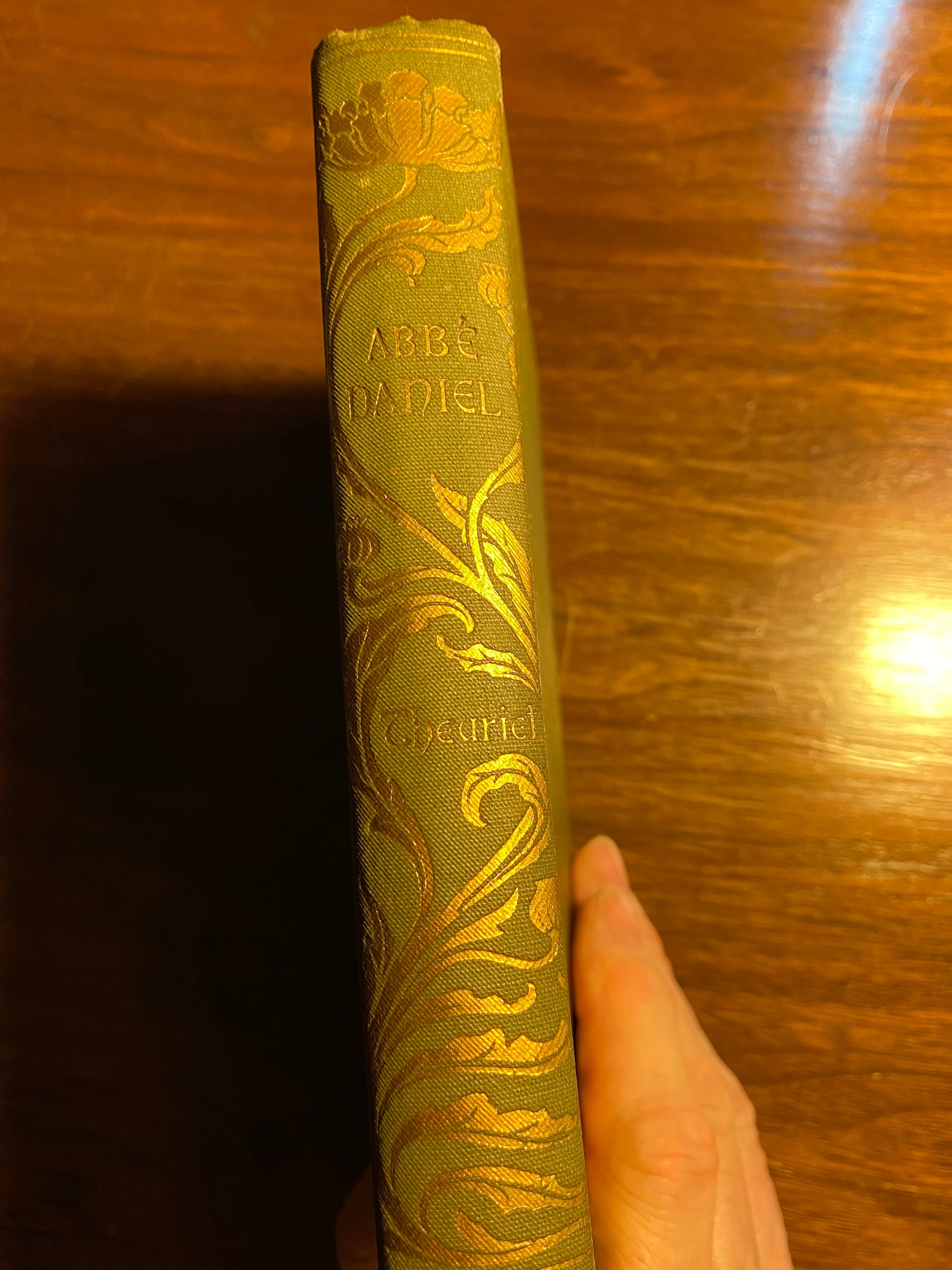 The Abbe Daniel - A Love Story - Andre Theuriet - Translated From the ...