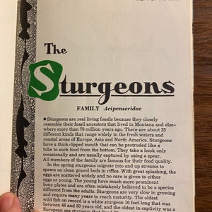 Know Your Fish Tom Dolan Sports Afield 1960 Guide Informational ...