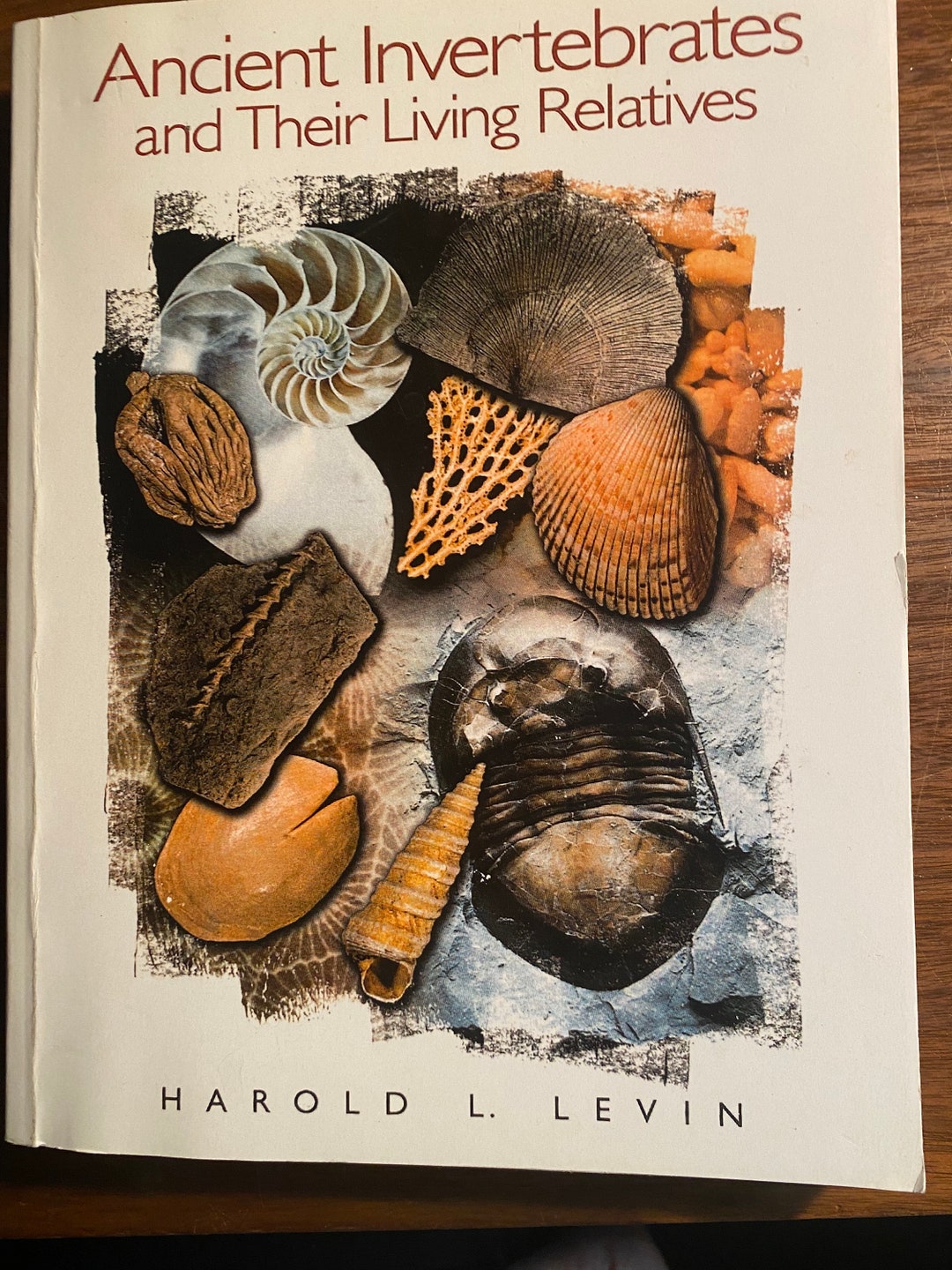 Ancient Invertebrates and Their Living Relatives - Animals Without ...