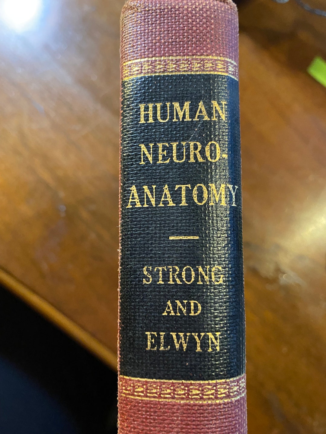 Human Neuroanatomy - Oliver Strong | Adolph Elwyn - 1948 - How the Body ...