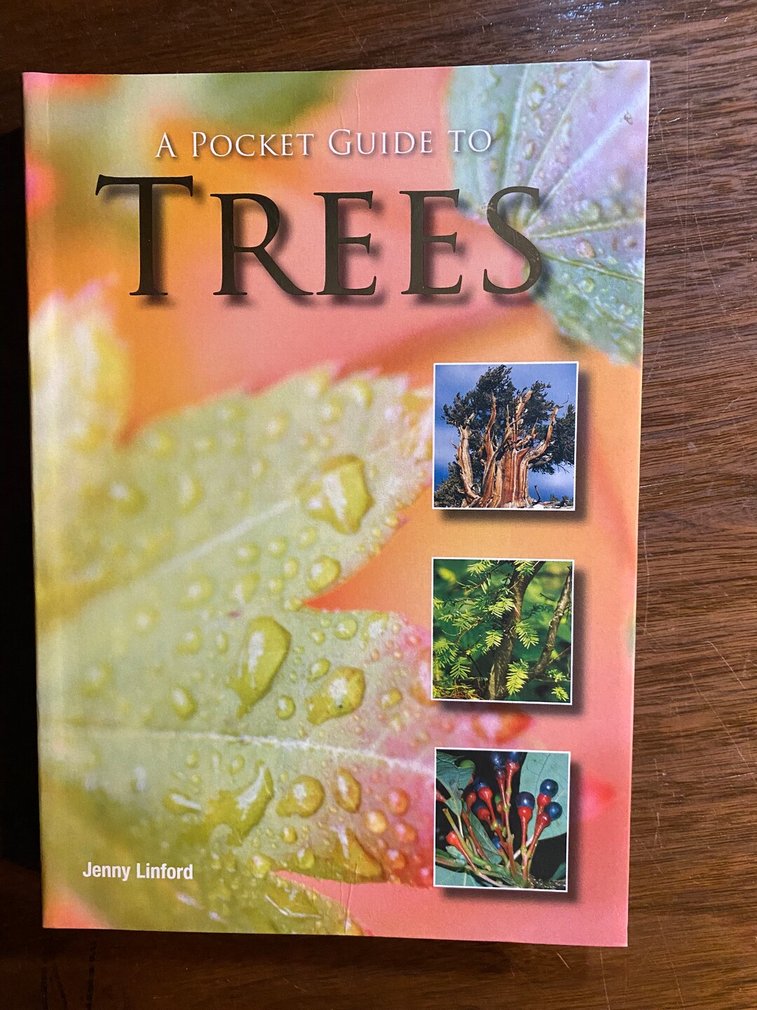 A Pocket Guide to Trees - Jenny Linford - 2009 - Characteristics ...