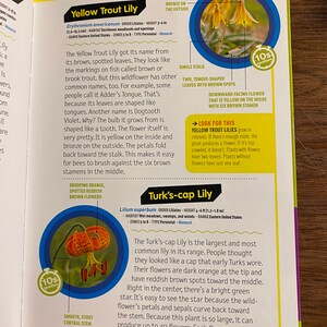 Wildflowers Ultimate Explorer Field Guide National Geographic Kids ...