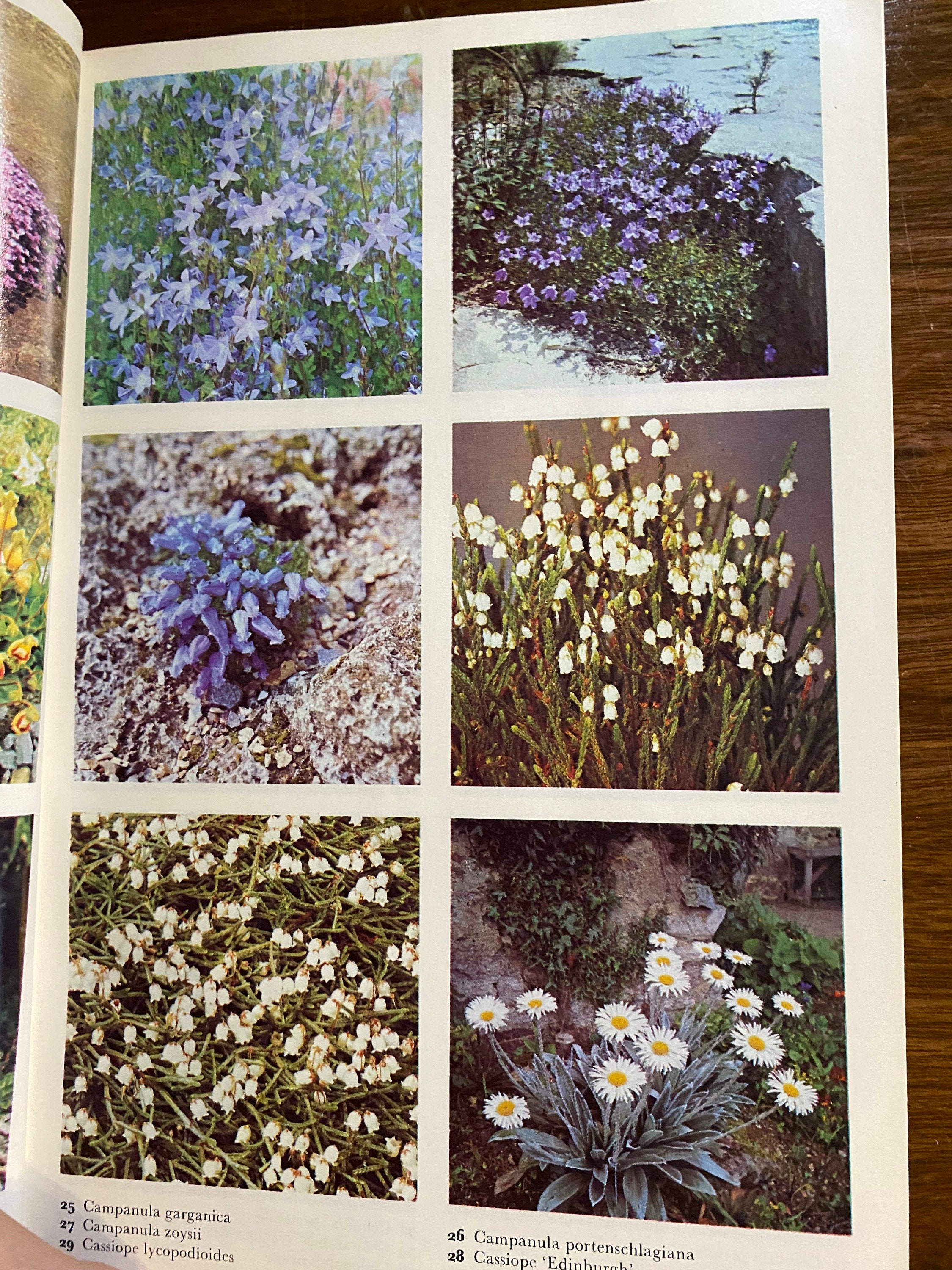 Color Dictionary Encyclopedia of Flowers & Plants for Home and Garden ...