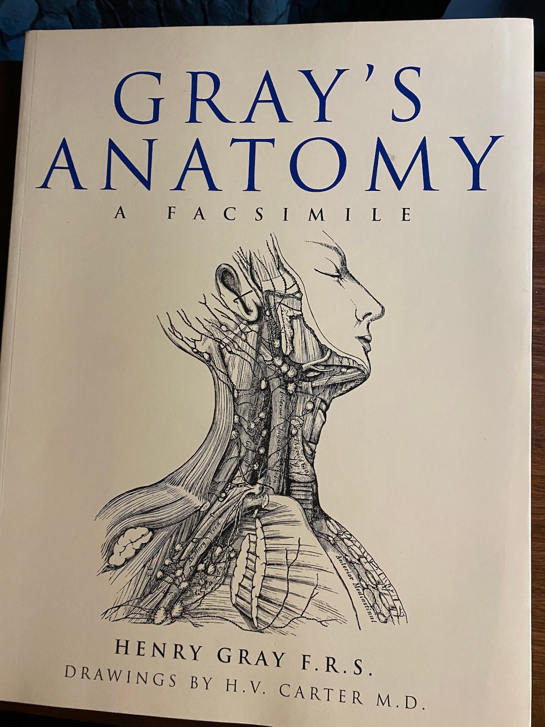 Gray's Anatomy a Facsimile Henry Gray / H V Carter 2001 Illustrated ...