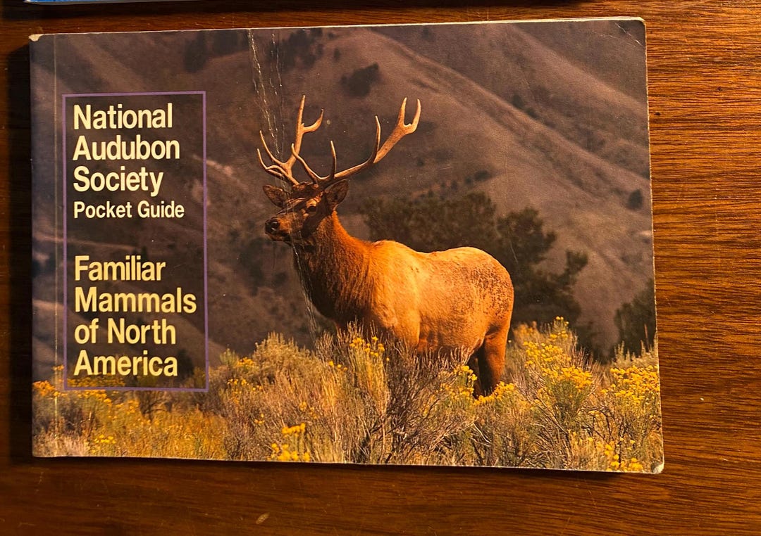Guide to Familiar Mammals of North America - John Farrand Jr - 1994 ...