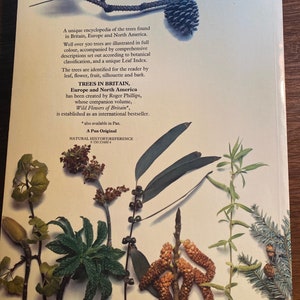 Trees in Britain Europe and North America - Guide - Roger Phillips ...