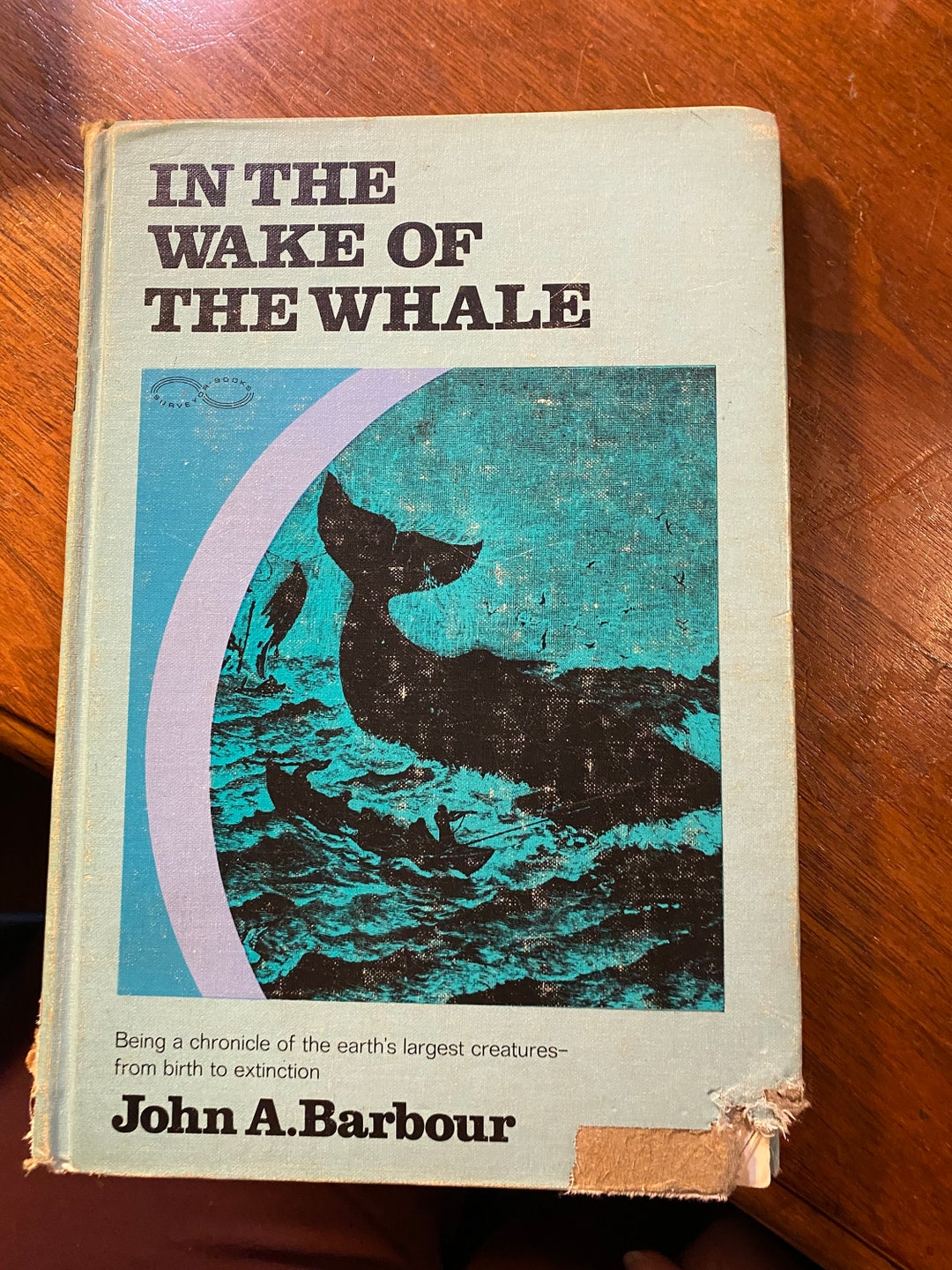 In the Wake of the Whale - Marine Life - John Barbour - 1969 ...