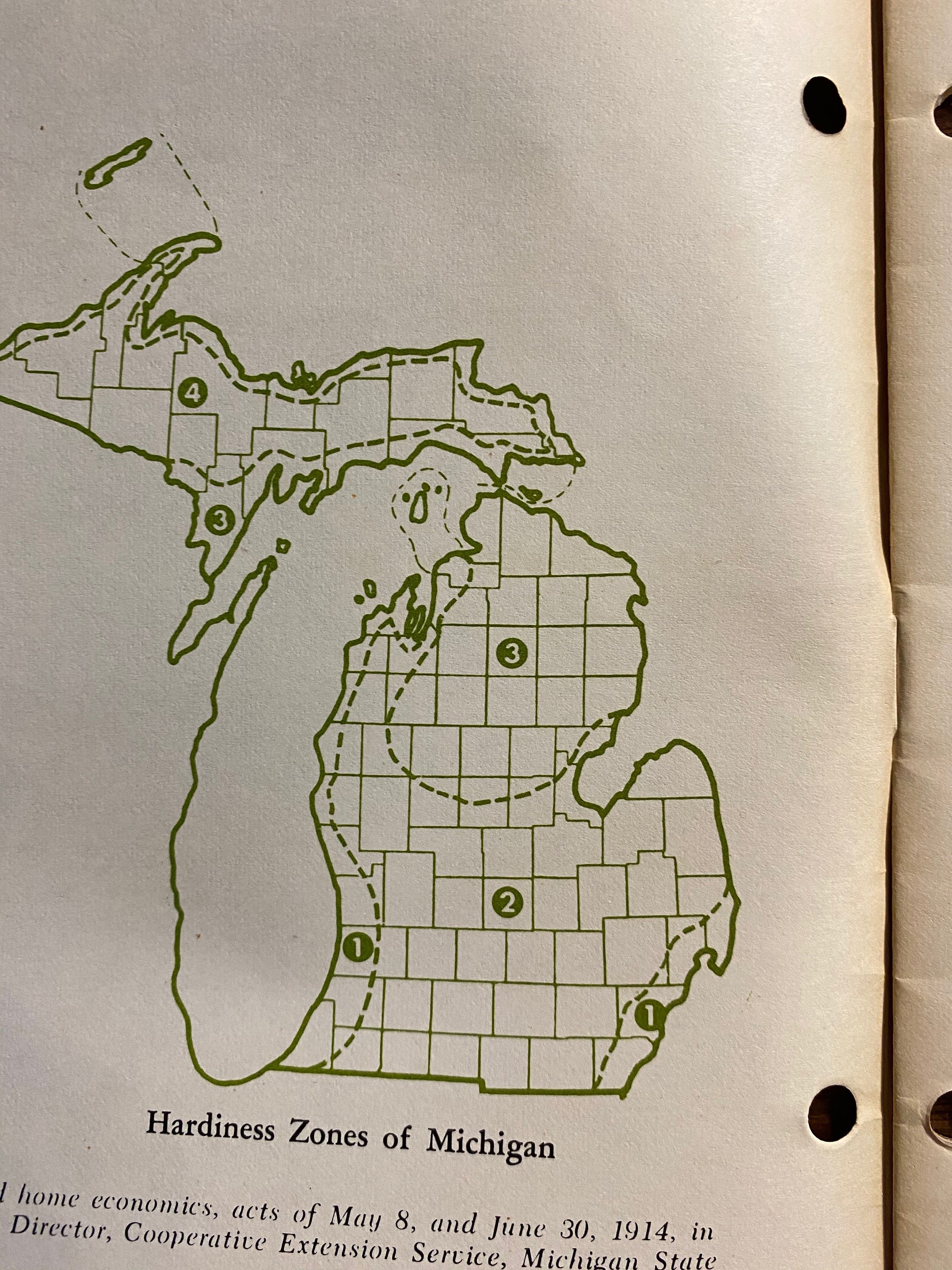 Ornamental Deciduous Trees for Michigan: Joseph Cox - Etsy