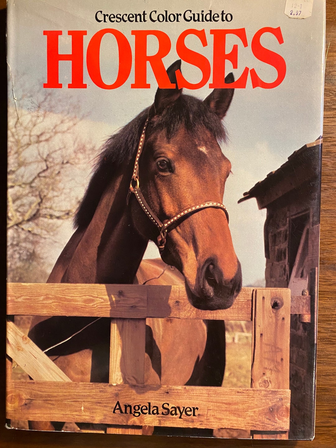 Horses Angela Sayer 1980 History, Ponies, Working Horses, Showing, A New Horse Breeds Color ...