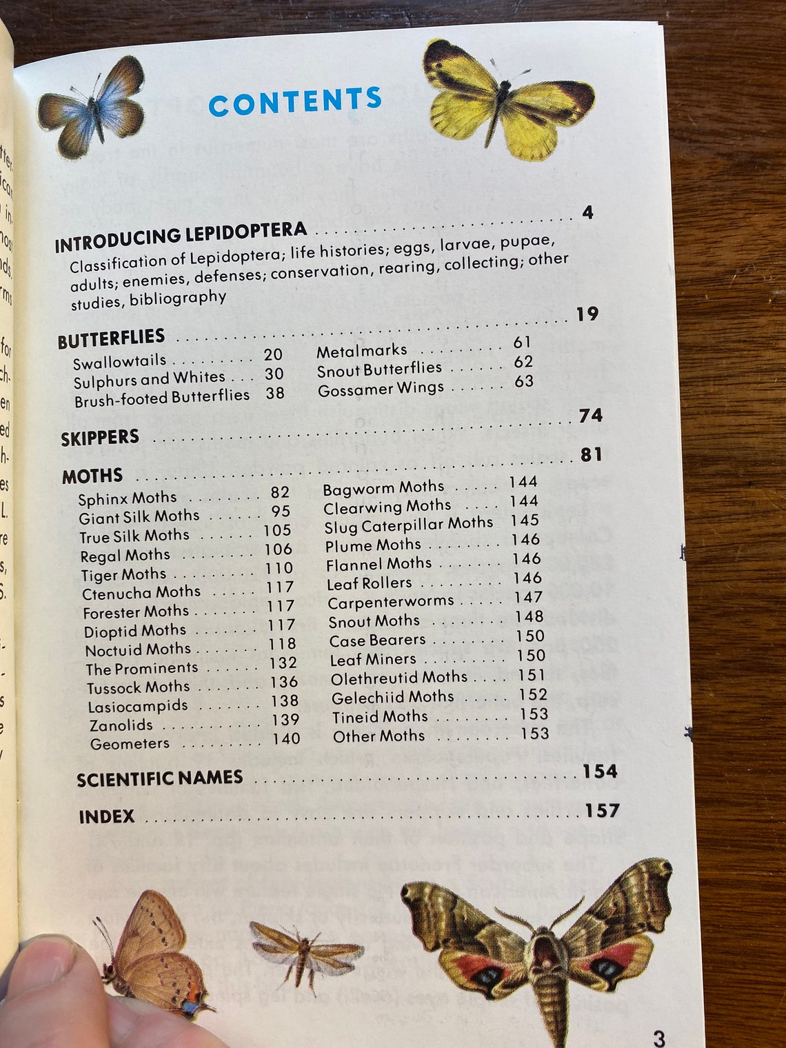 Butterflies and Moths Golden Nature Guide - Common Species Illustrated ...
