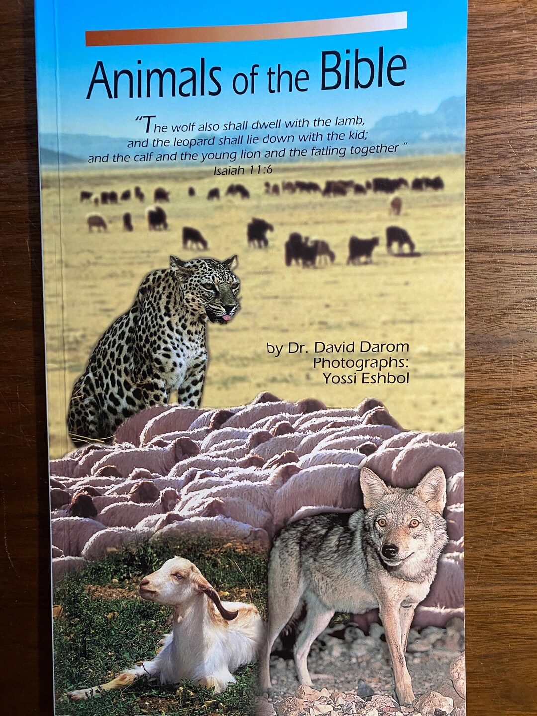 Animals / Wildlife of the Bible - David Darom - Animal Nature ...